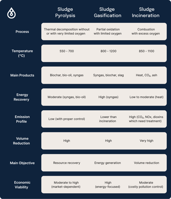 Sludge Gasification: Fundamentals and Integration Scenarios